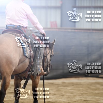 Photos | Rockin' Horse Photography