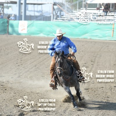 Photos | Rockin' Horse Photography