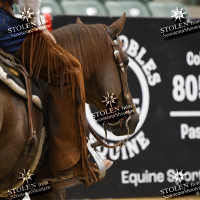 Photos | scootemnshootem photography