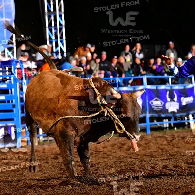 Photos | Western Edge Photography