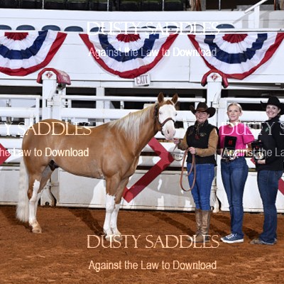 Photos | Dusty Saddles Photography