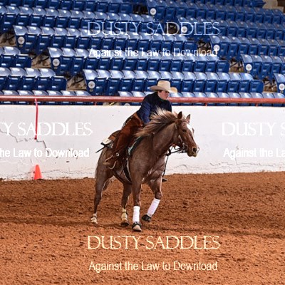 Photos | Dusty Saddles Photography